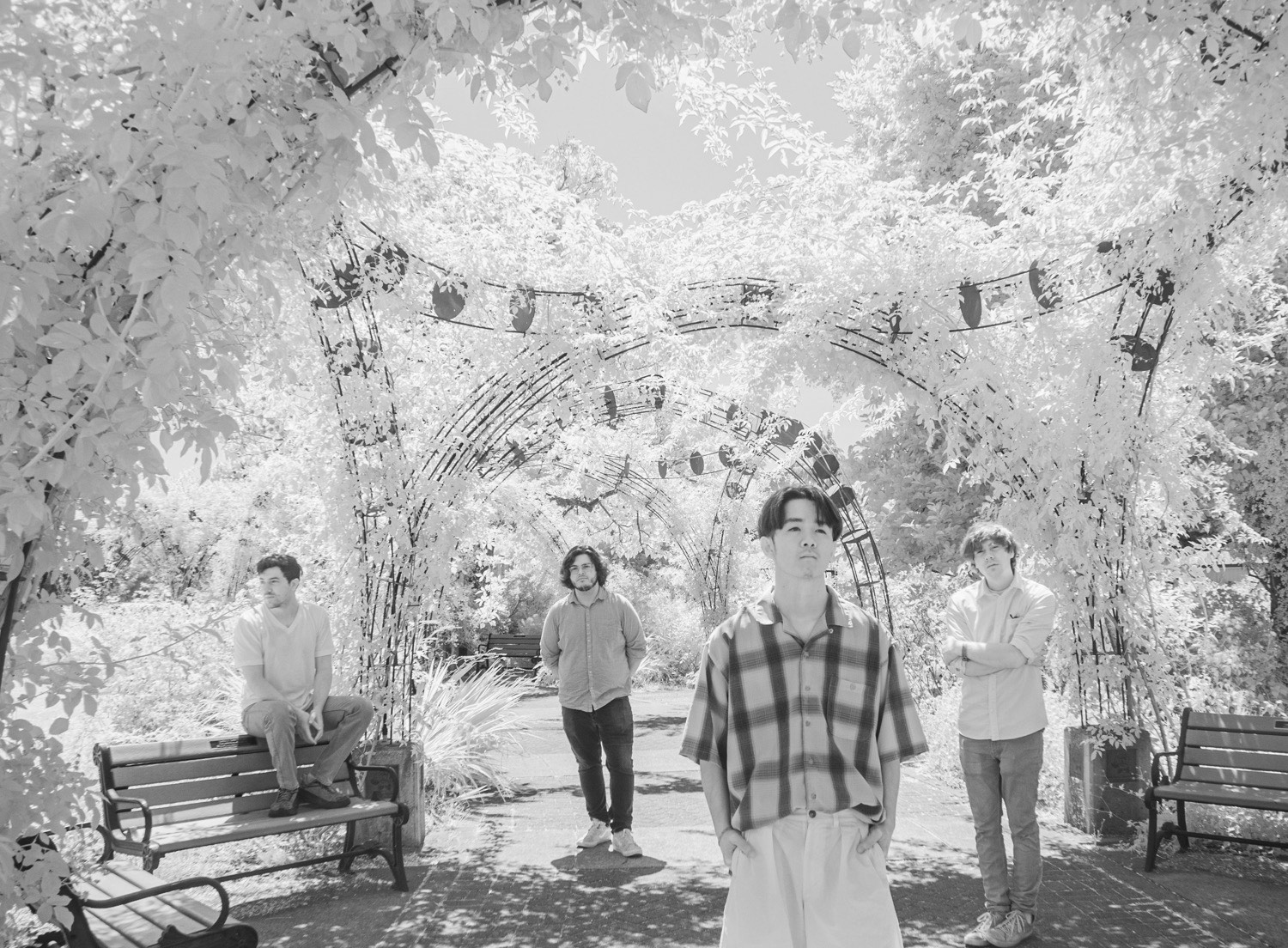 Band Spotlight: Moonbear - The Commuter